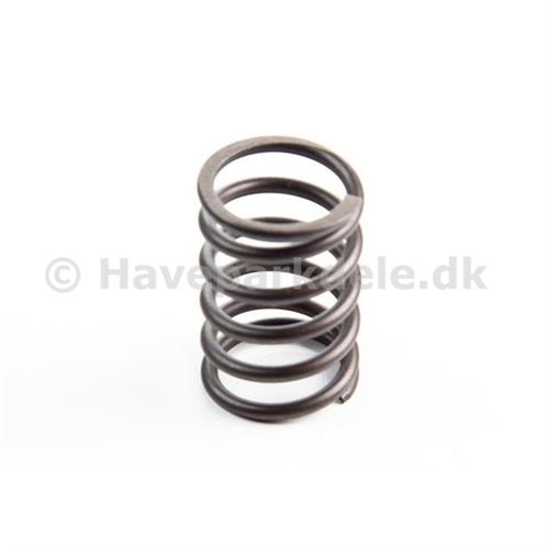 Briggs & Stratton Diverse