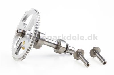 Briggs & Stratton Knastaksel